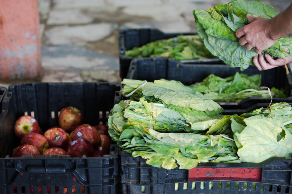 Verão exige cuidados com alimentos e água - Online